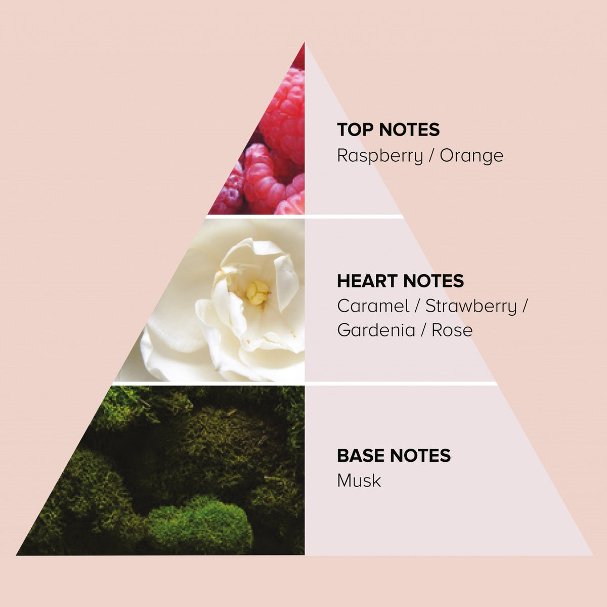 COTRIL COLORLIFE njega obojene kose